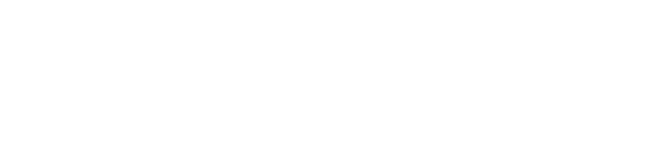 Our Program | OpusVi