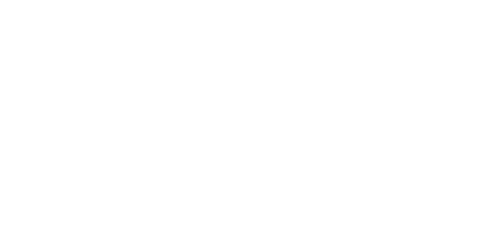 Our Program | OpusVi