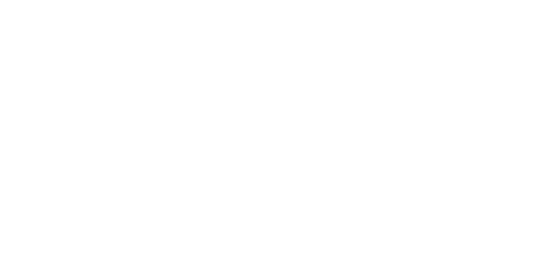 Our Program | OpusVi